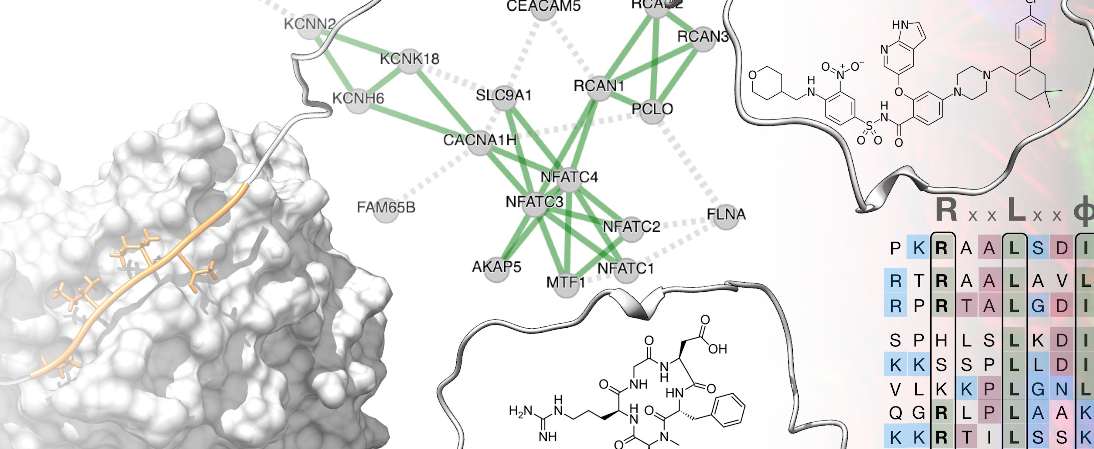 Intrinsically Disordered Proteins From Molecules To Systems
